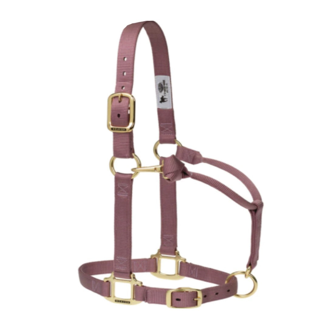 Licol Weaver 3/4" Mauve – Boutique équestre Centor