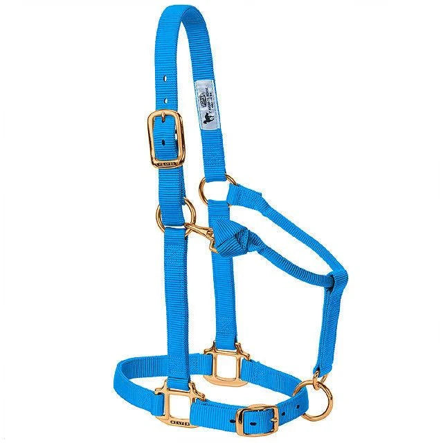 Licol Weaver 1" Bleu hurricane – Boutique équestre Centor