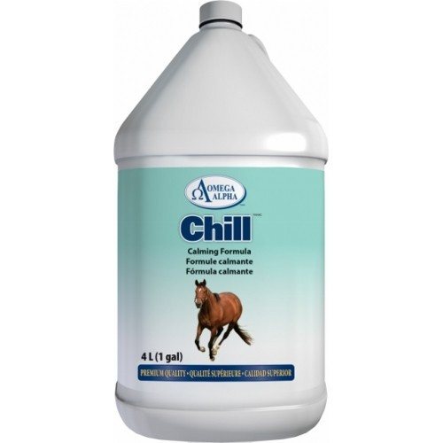 Chill 4L – Boutique équestre Centor